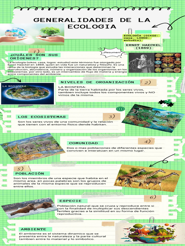 Infografía generalidades de la ecologia | PDF | Ecología | Naturaleza