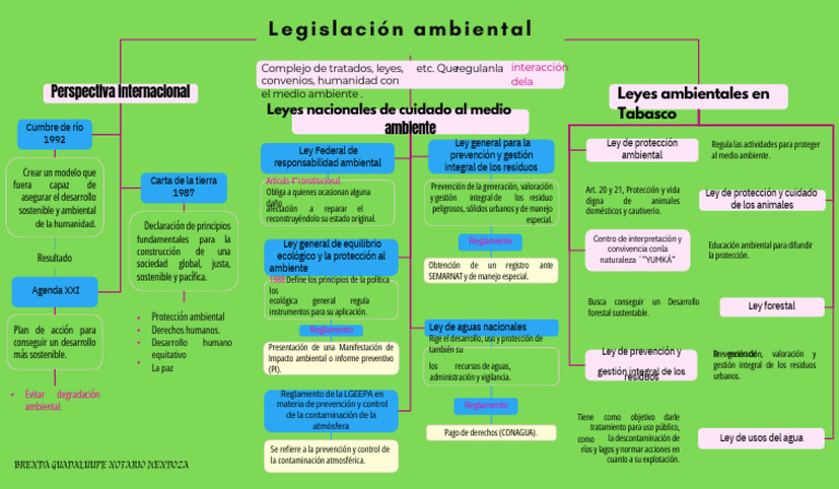 Legislacion Ambiental Mapa Conceptual PDF | PDF | Ley del Medio Ambiente | Sustentabilidad