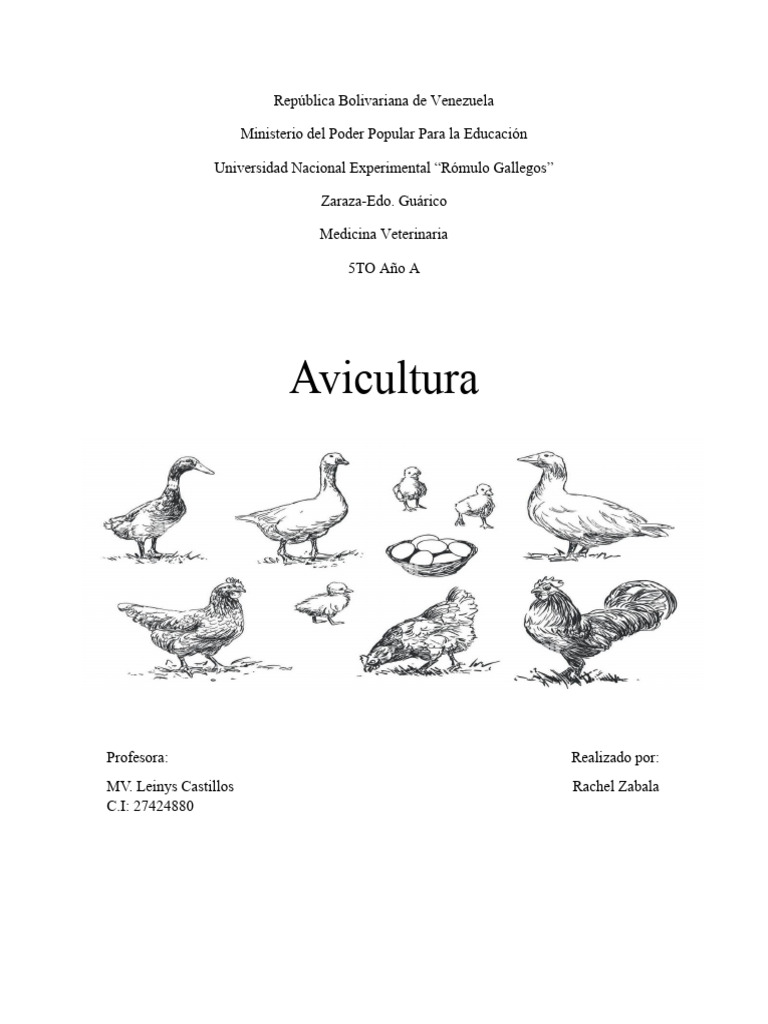 aves | PDF | Pollo | Aves