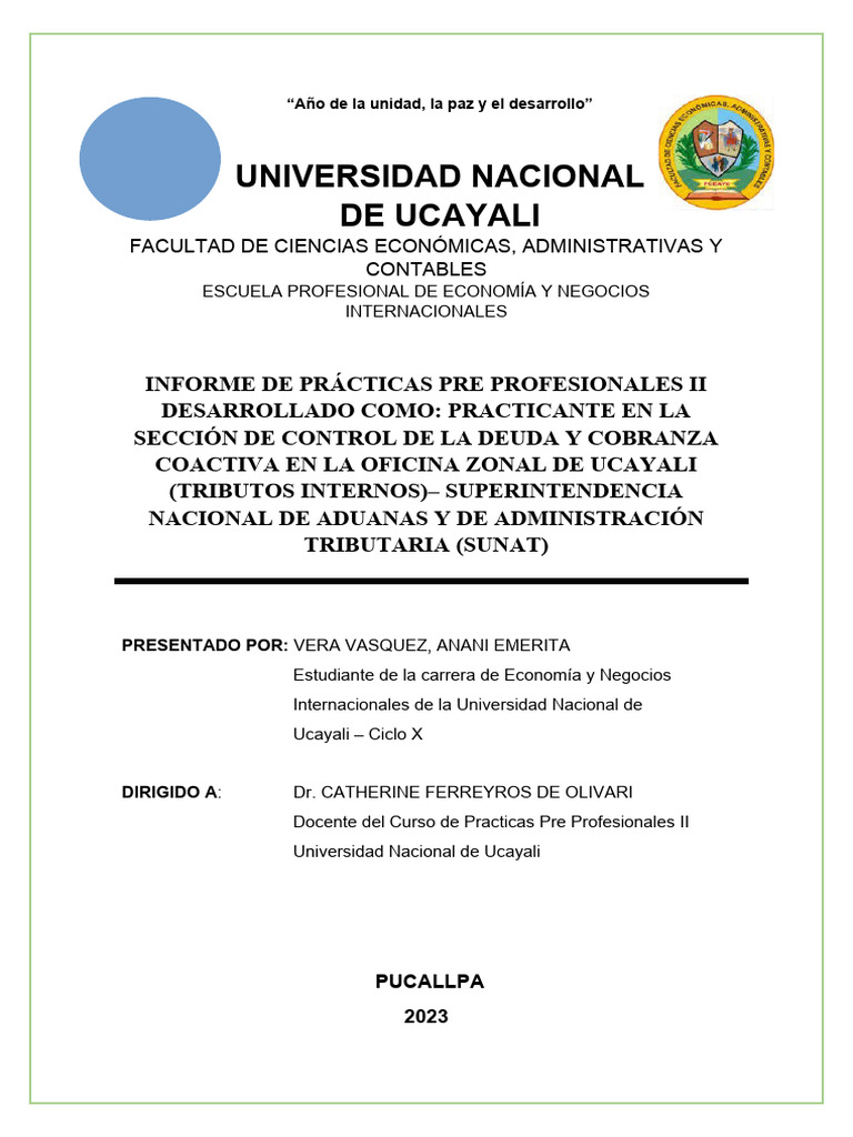 Informe Final de Practicas Pre Profesionales II - Vera Vasquez Anani ...