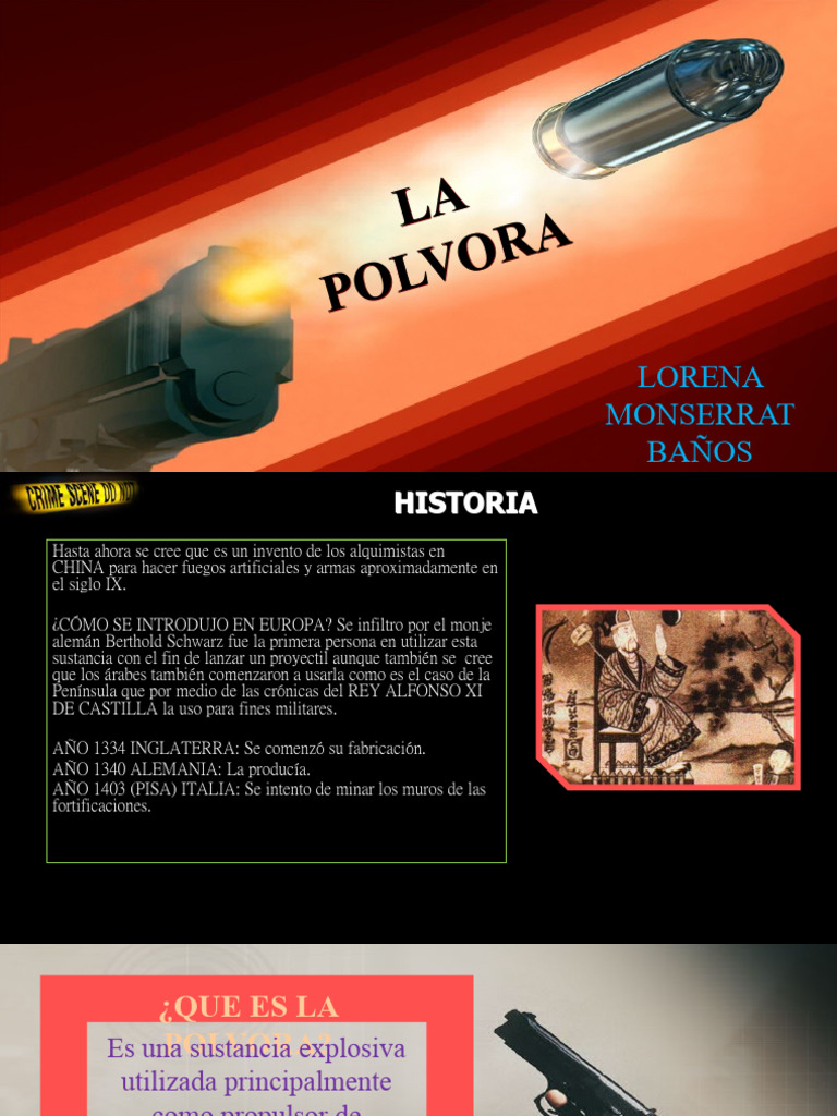 La Polvora | PDF | Pólvora | Combustión