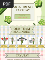 TAYUTAY - Mga Iba't Ibang Uri at Halimbawa | PDF