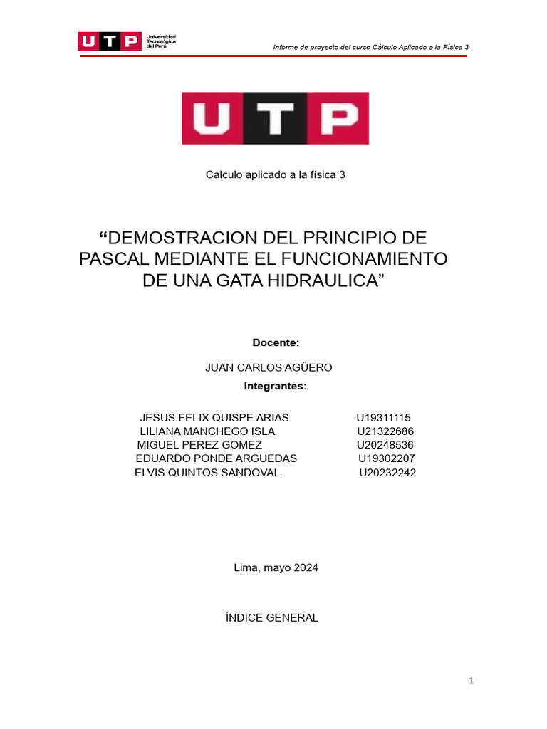 Informe CAF3 2024 | PDF