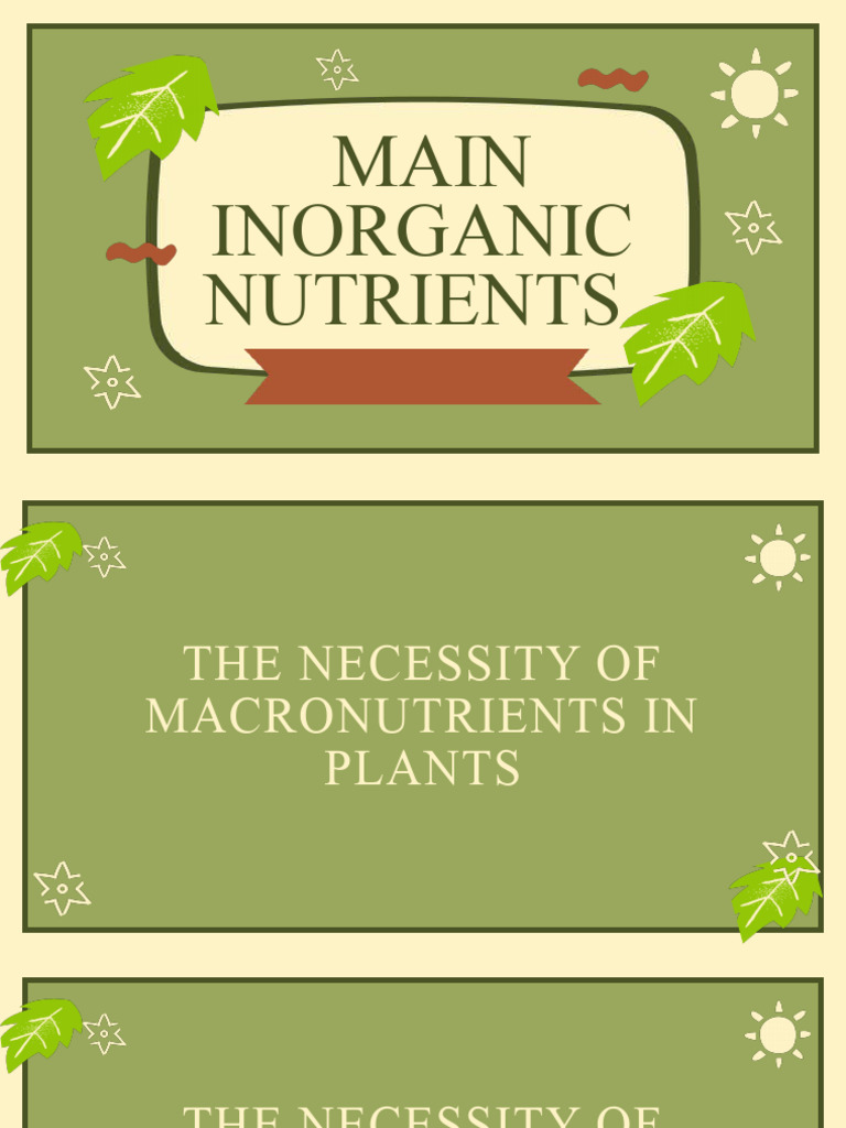 3.1 Main Inorganic Nutrients | Download Free PDF | Plant Nutrition ...
