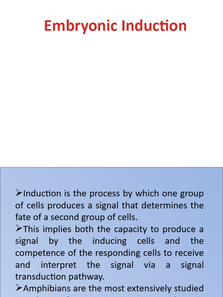 embryonic-induction | PDF | Embryo | Zoology