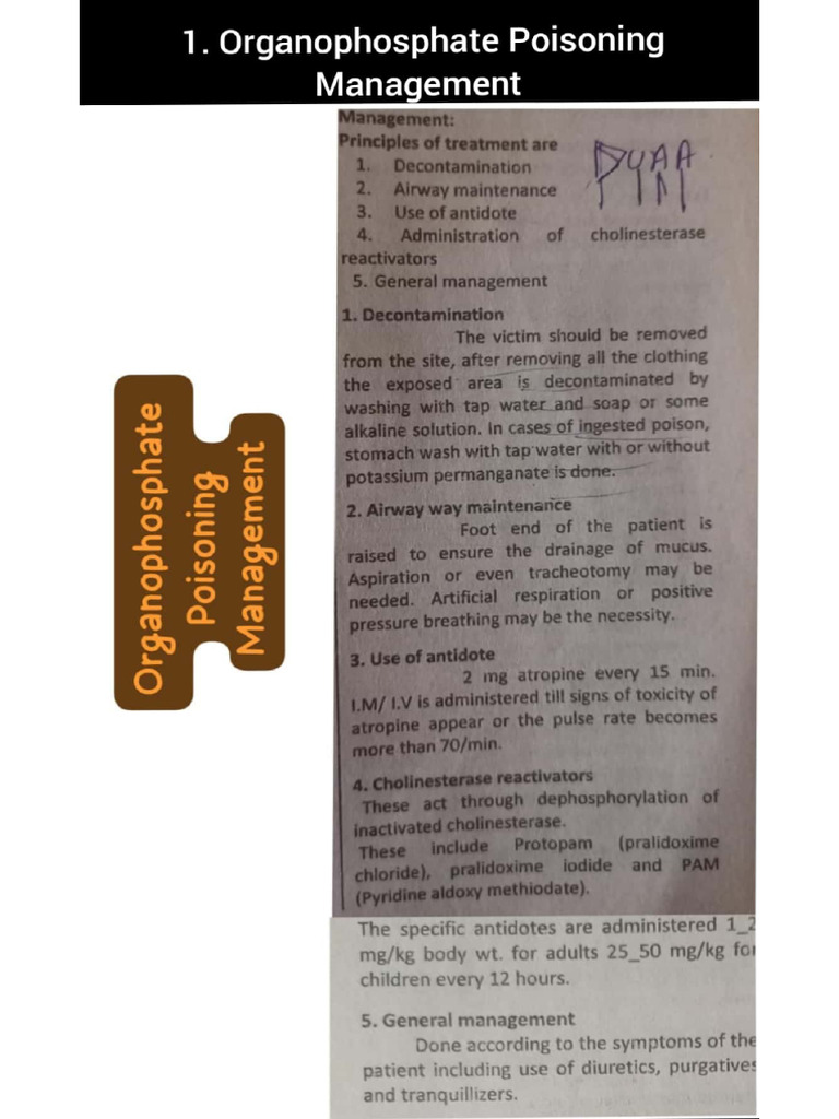 ANS Pharma - Extra Things | PDF