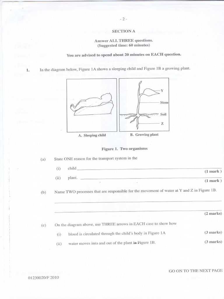 CSEC Integrated Science 2010 Paper 2 | PDF