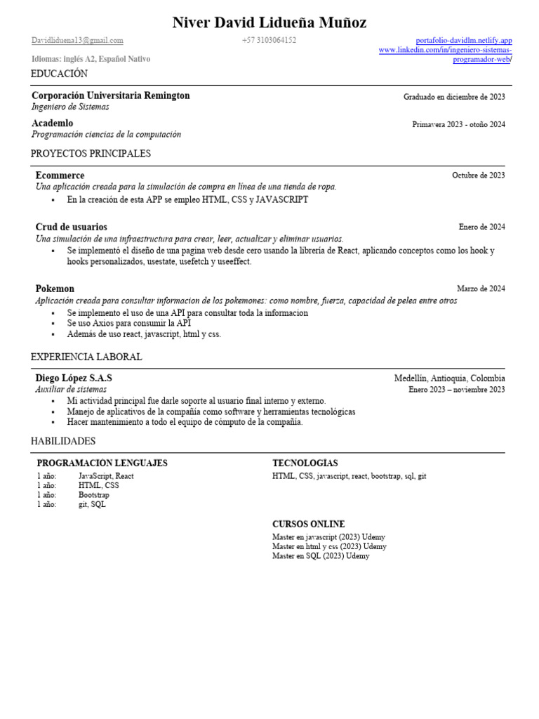 Formato CV Amigable para Bots DAVID - LIDUEÑA | PDF | Software de la ...