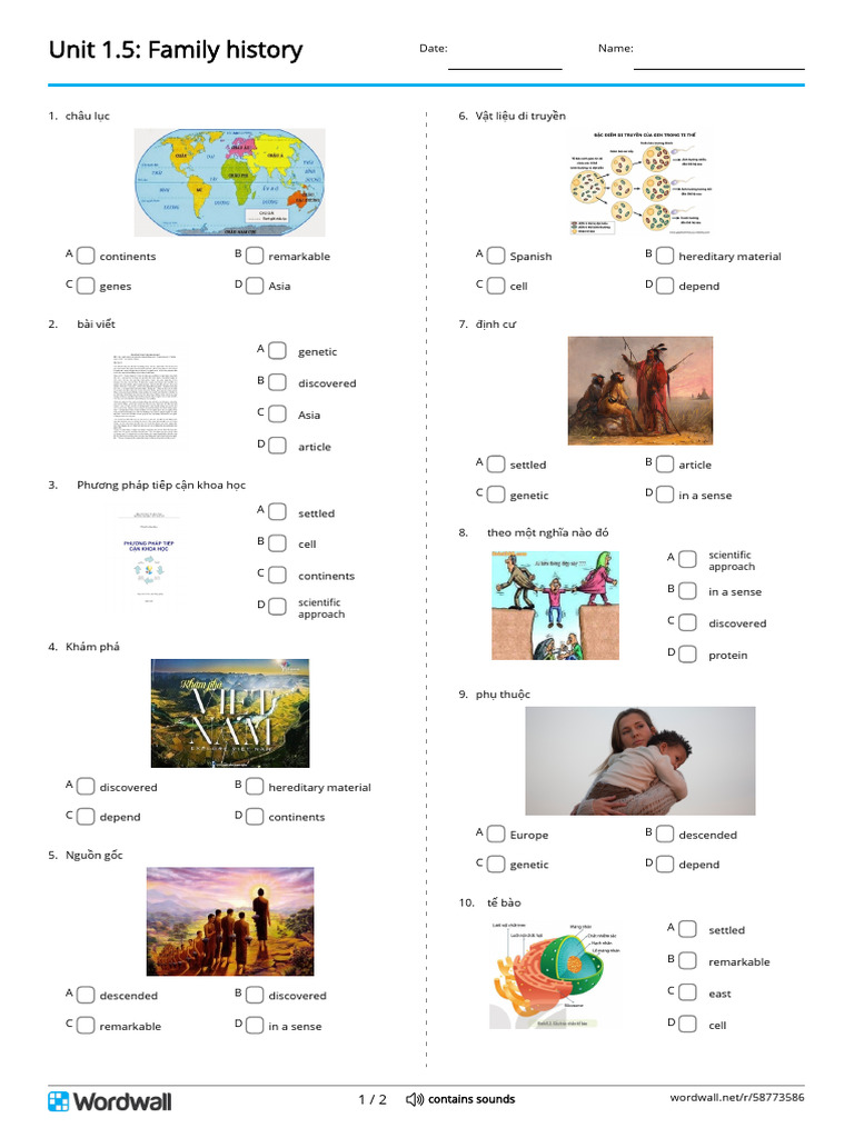 Unit 15 Family History Quiz | PDF