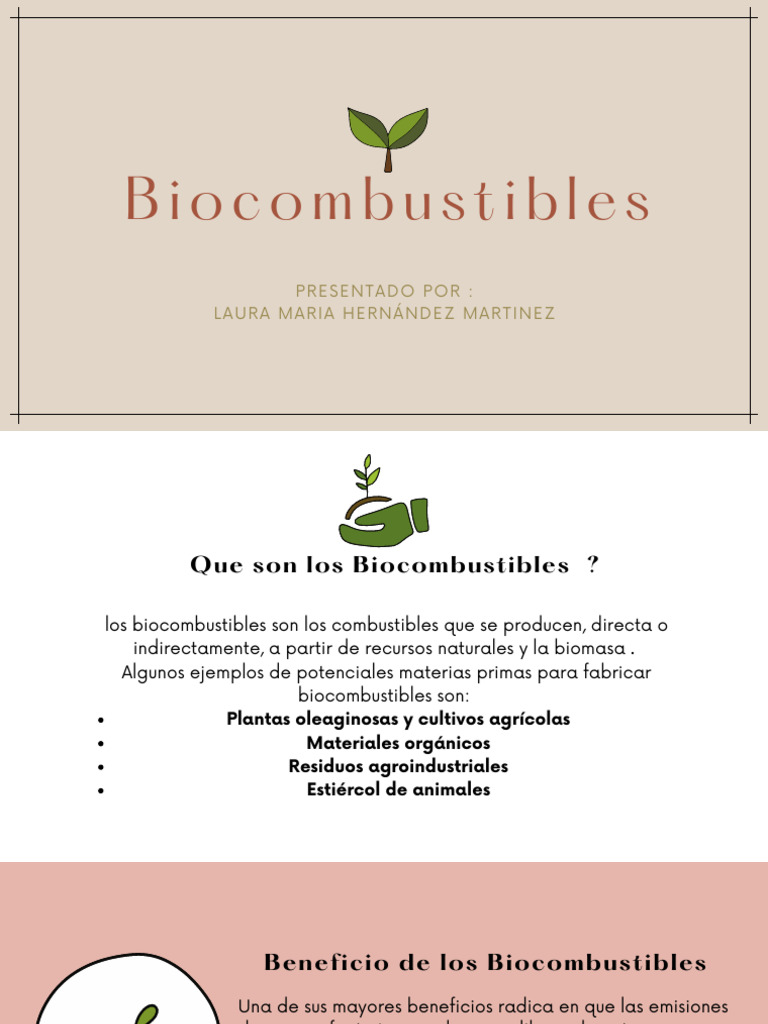 Biocombustibles | PDF | Biocombustible | Biomasa