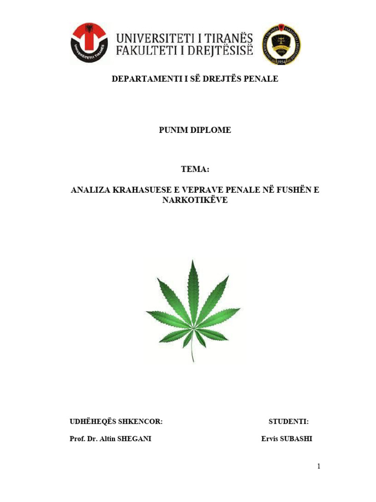 Diplome Ervis Subashi | PDF