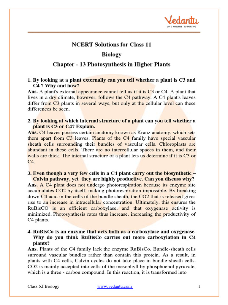 Ncert Solutions Class 11 Biology Chapter 13 Photosynthesis in Higher ...