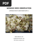 Germination of Monggo Seed | PDF