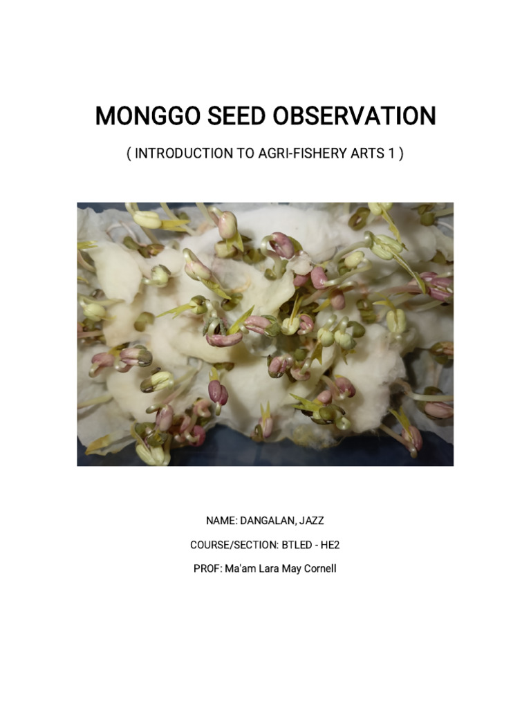 MONGGO SEED OBS - DANGALAN WPS Office | PDF | Leaf | Branches Of Botany