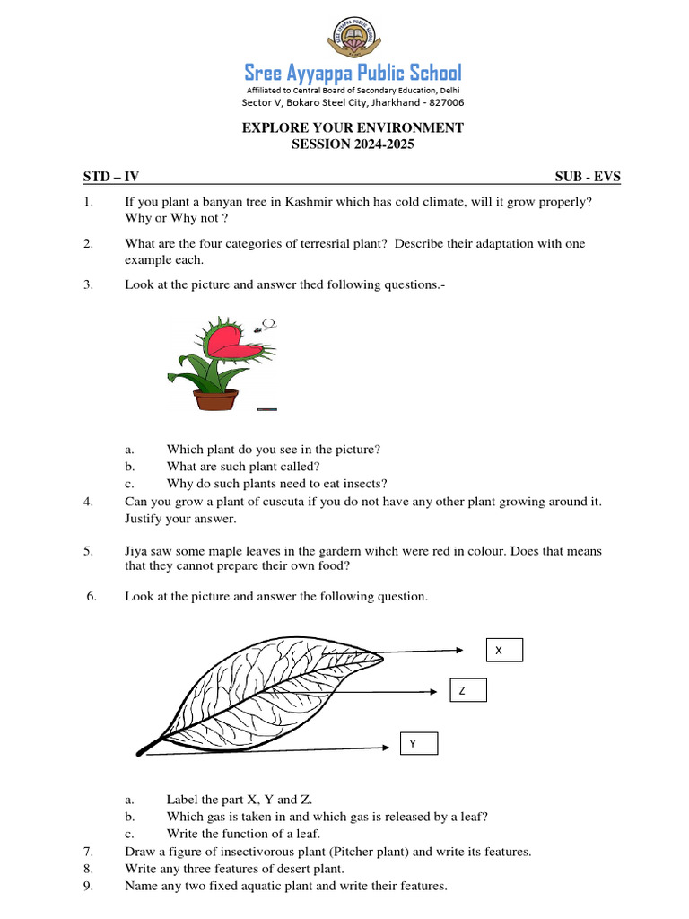 Iv Evs | PDF | Plants | Trees
