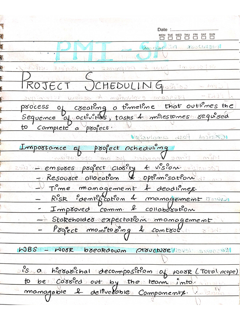 PMI SP Cert Study Notes | PDF