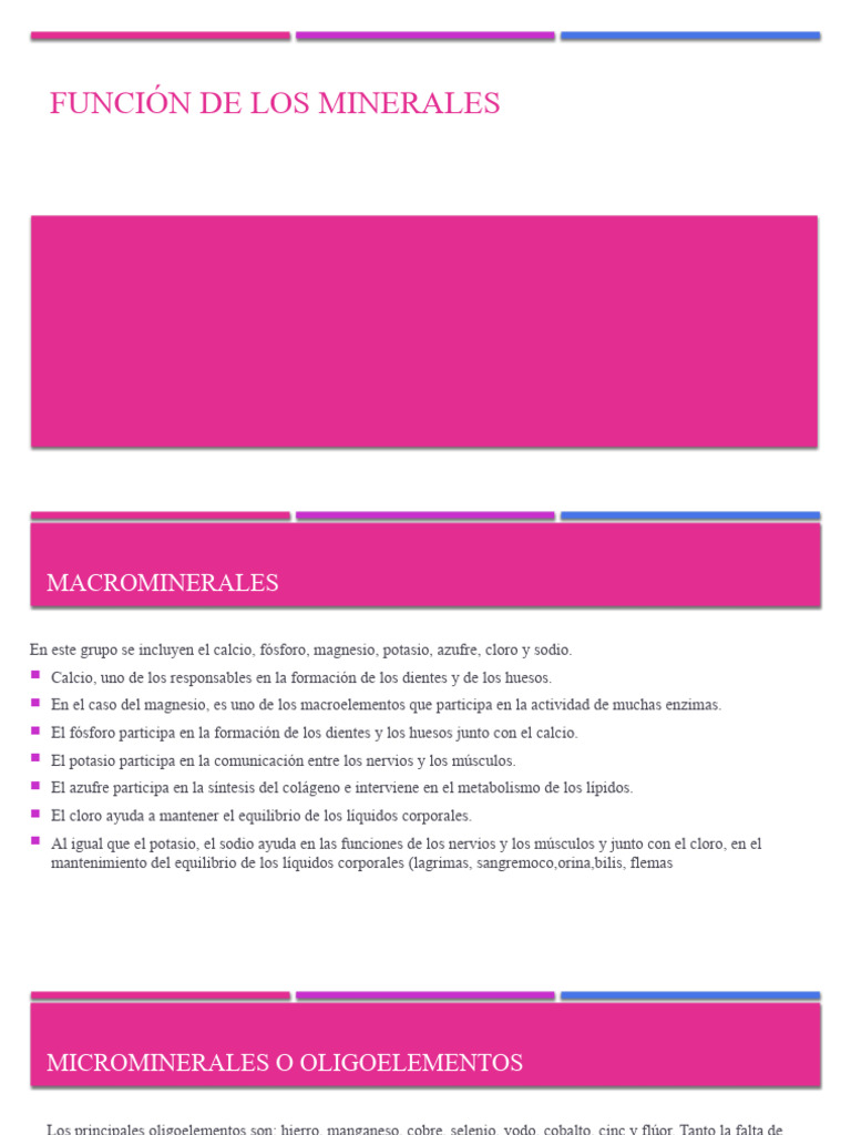 Funciones de los Minerales Esenciales | PDF