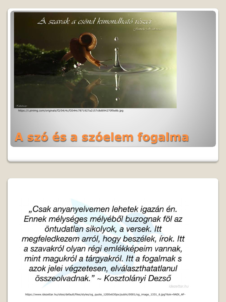 A Szó És A Szóelem Fogalma | PDF
