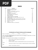 Basic French Notes For Beginners | PDF | Grammatical Gender | Plural