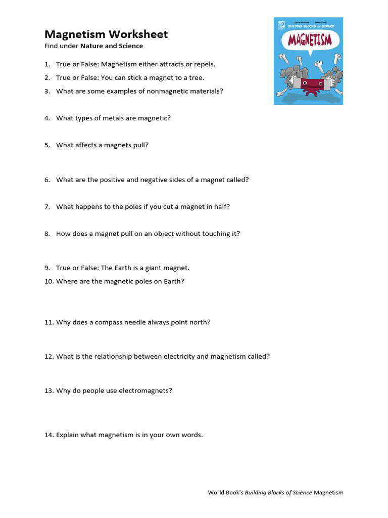 Magnetism Basics for Young Learners | PDF