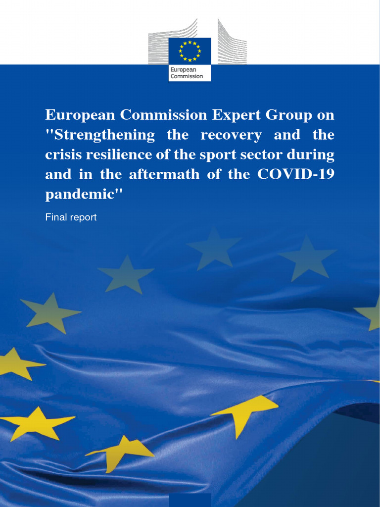 European Commission Expert Group On strengthening-NC0223102ENN | PDF ...