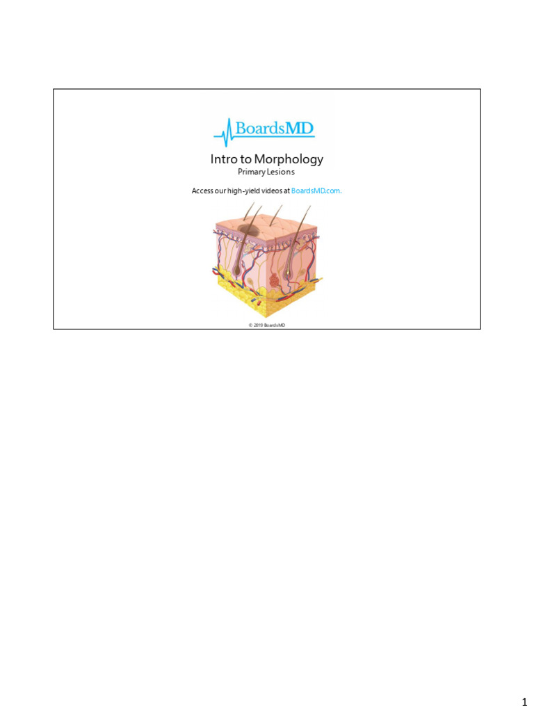 Primary Skin Lesions Guide | PDF | Cutaneous Conditions | Dermatology
