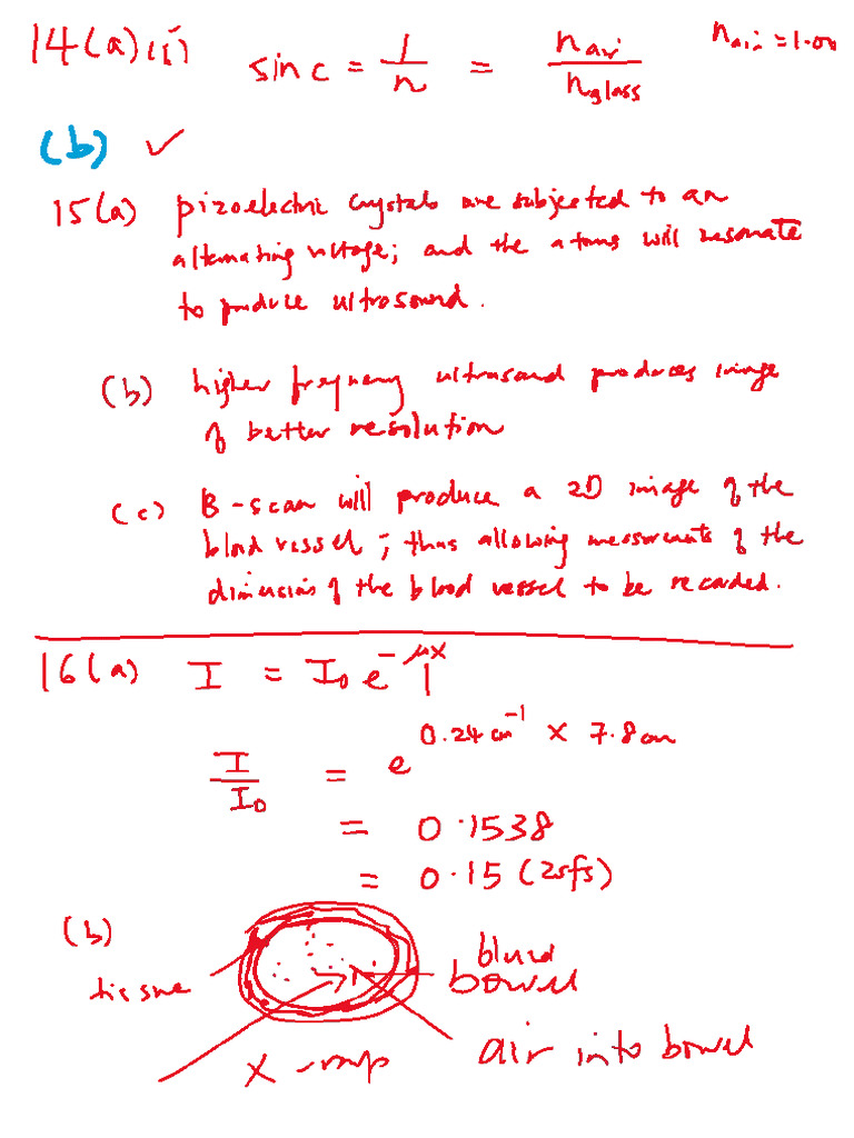 Option C Practice | PDF