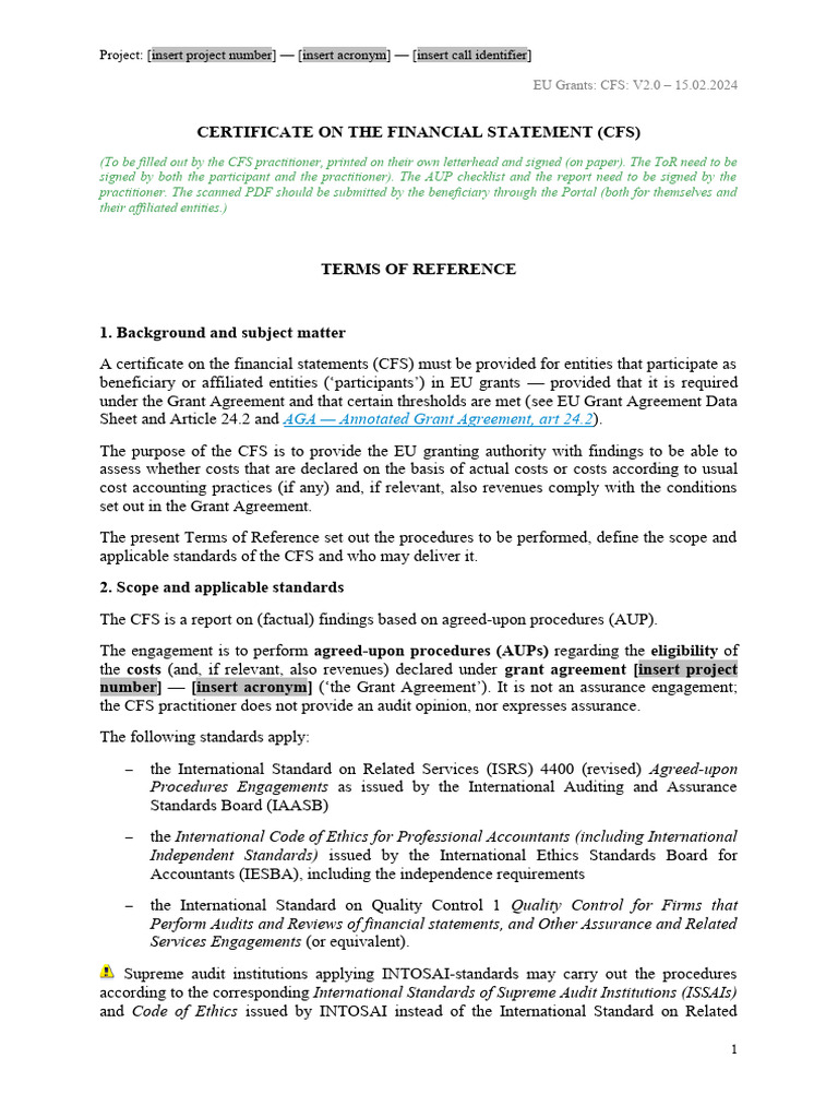 Cfs en | PDF | Audit | Employment