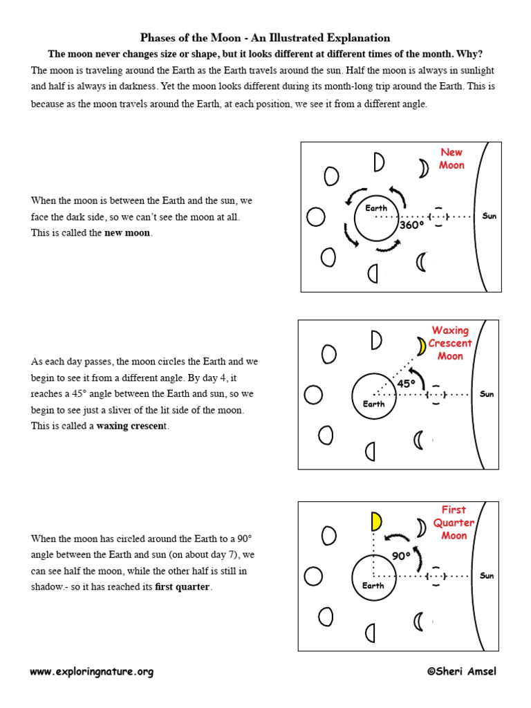 E-Moon Phases Illustrated | PDF | Moon | Technical Factors Of Astrology