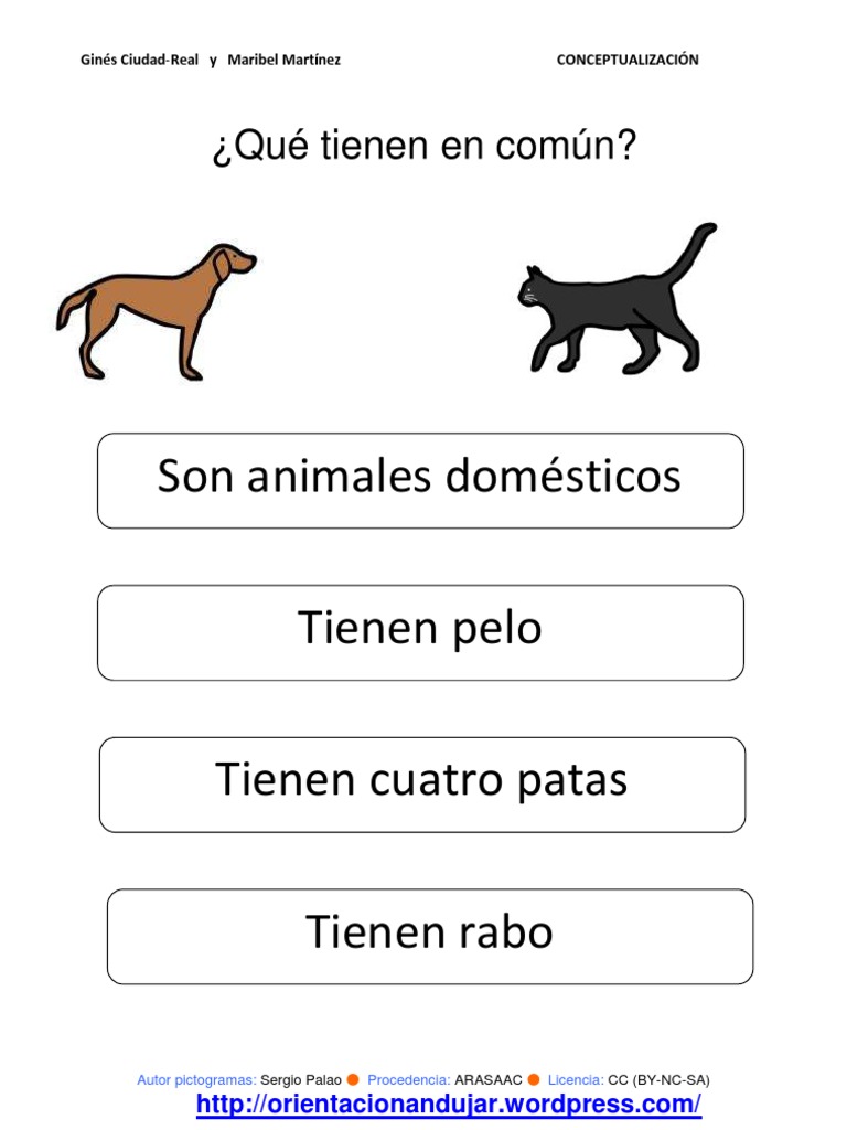 Que Tienen en Comun Fichas 1 25 | PDF