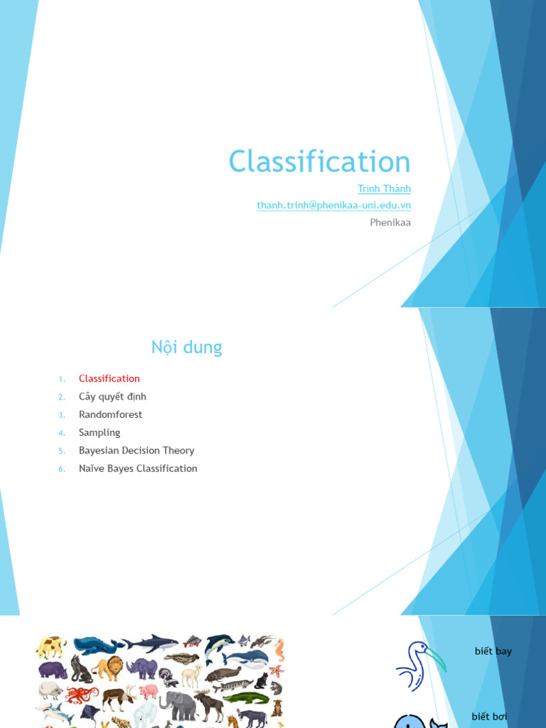 C4 Classification Sample Ensemble | PDF