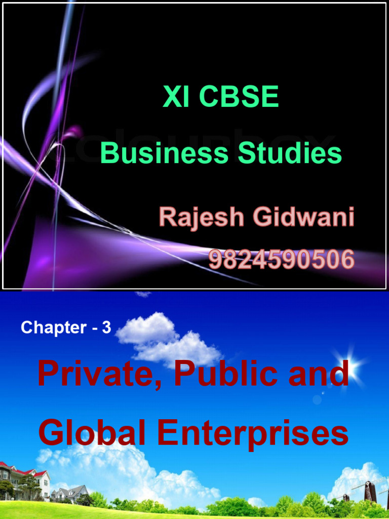 Chapter 3 BST Private, Public.. Rajesh Sir | PDF | State Owned Enterprise | Public–Private ...