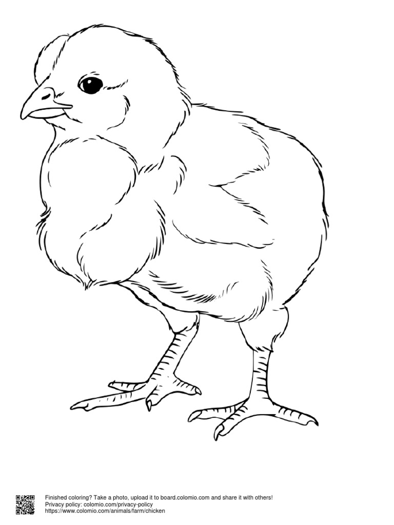 Chick | PDF