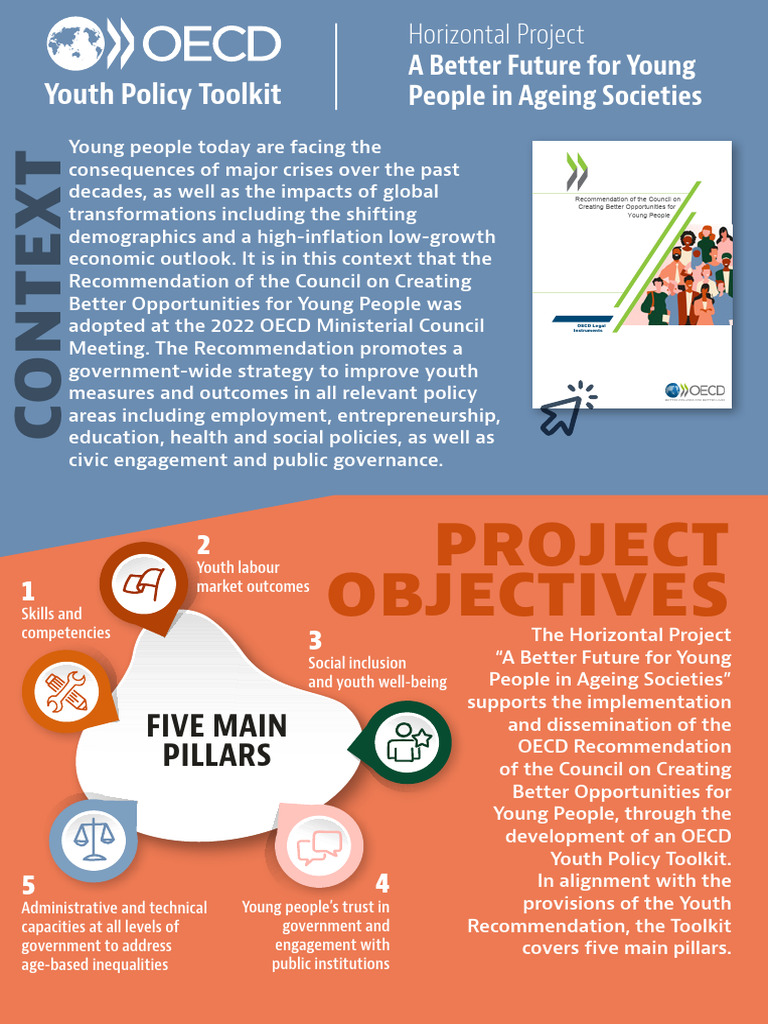 Youth Policy Toolkit Flyer | PDF | Policy | Governance