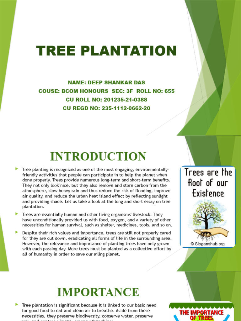 It Assignment Tree Plantation | PDF | Trees | Biodiversity