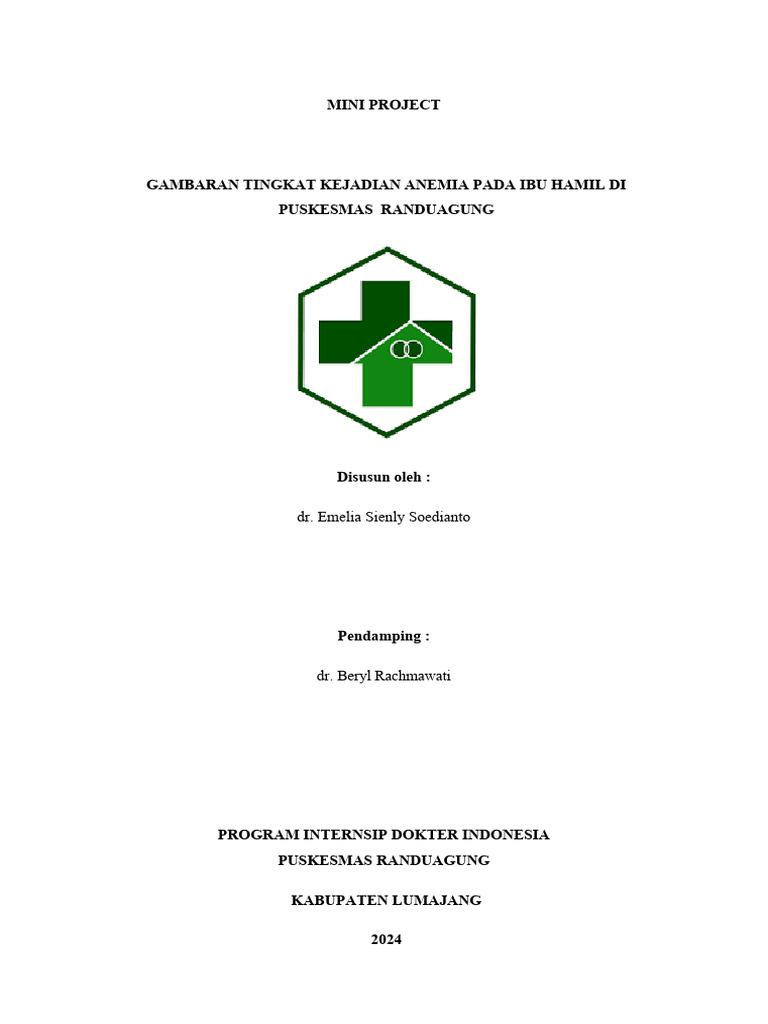 Minipro Emelia Sienly | PDF