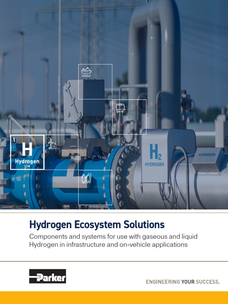 Hydrogen Ecosystem Solutions - V2 | PDF | Valve | Hydrogen