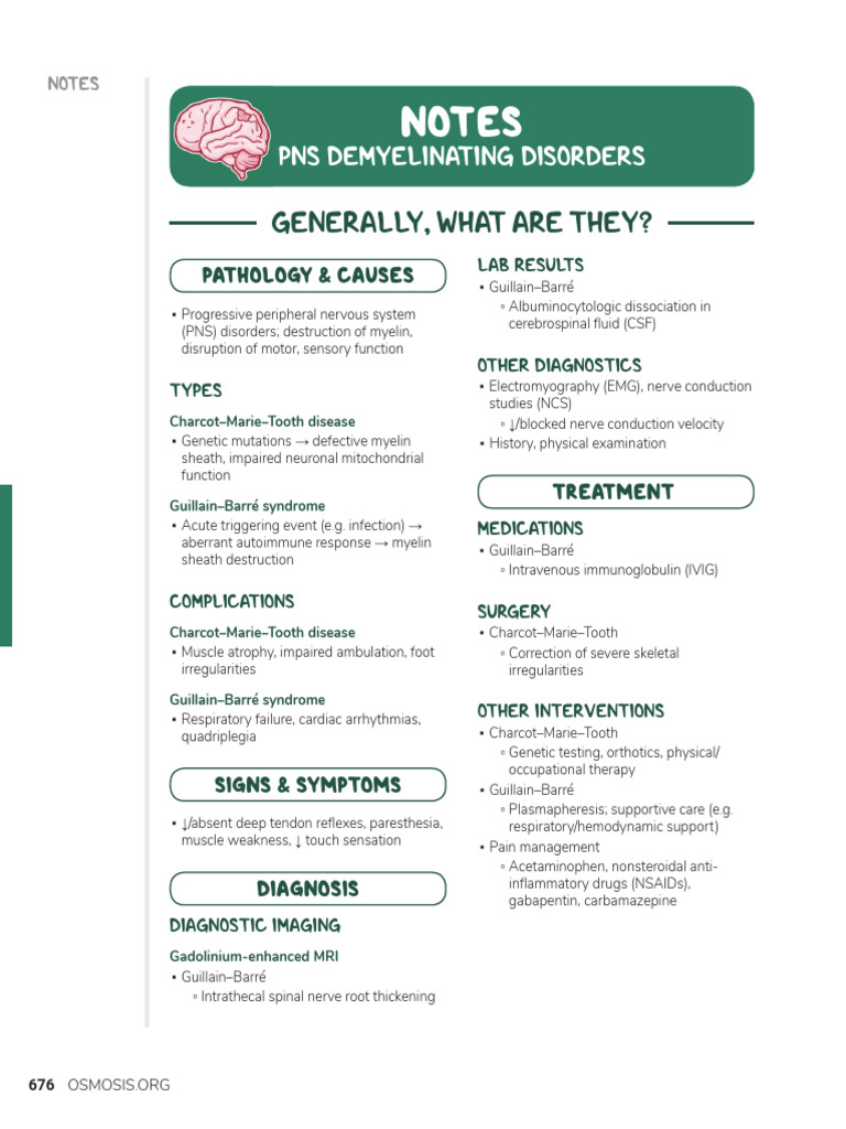 PNS Demyelinating Disorders | PDF | Myelin | Nervous System