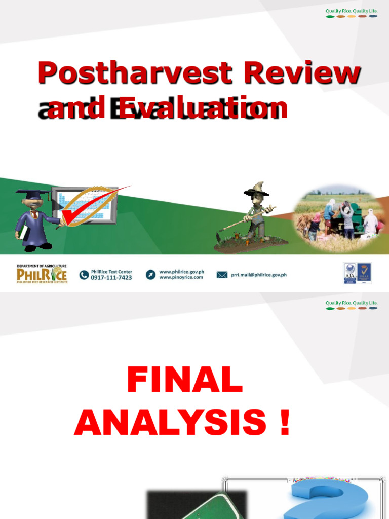 Final Analysis of PalayCheck Practices | PDF | Harvest | Crop Yield