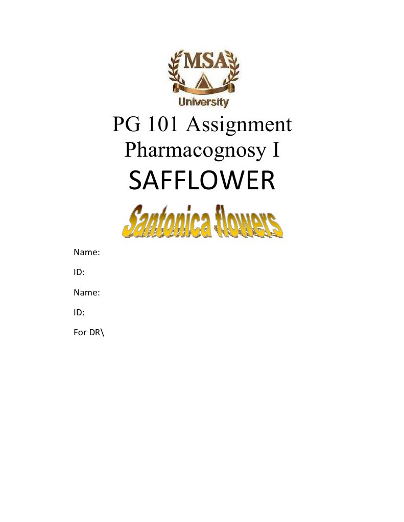 Data Structure Analysis and Optimization | PDF