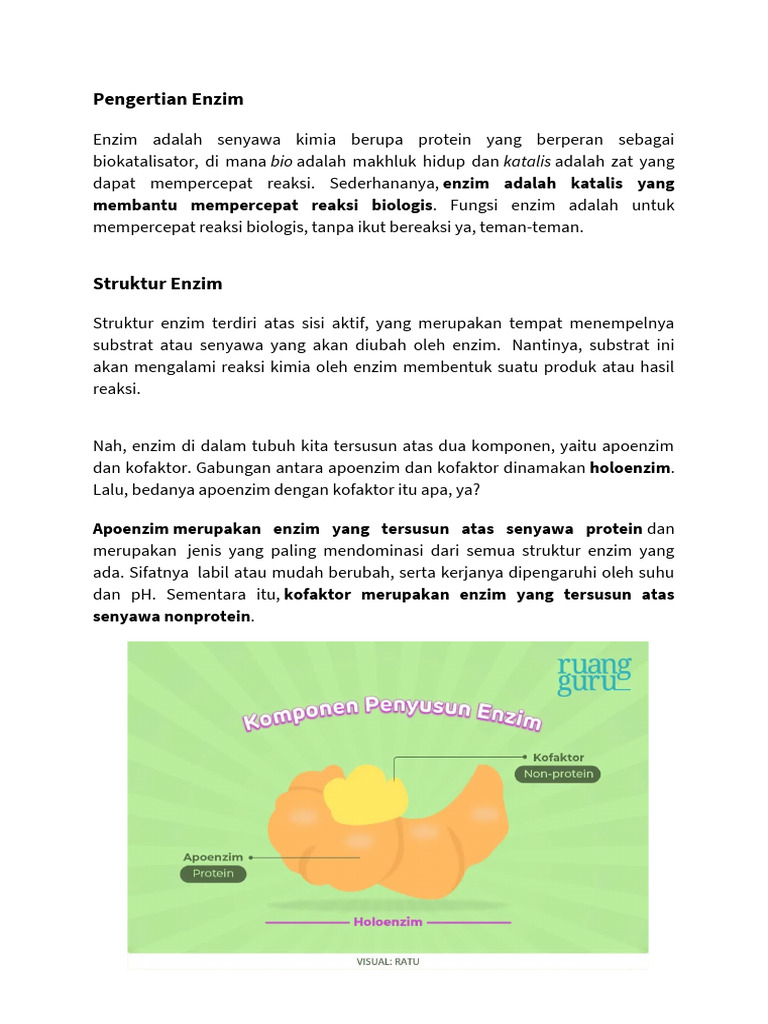 Pengertian Enzim | PDF