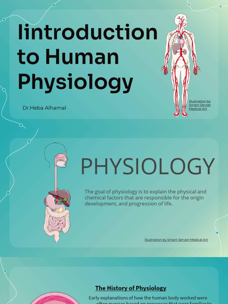 9 Introduction To Human Physiology | PDF | Homeostasis | Stimulus ...