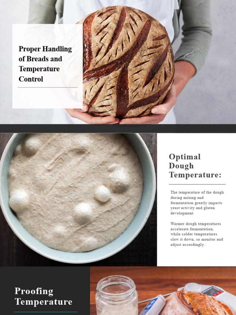 PPTUnit 3 (Moddedp2) | Download Free PDF | Breads | Dough