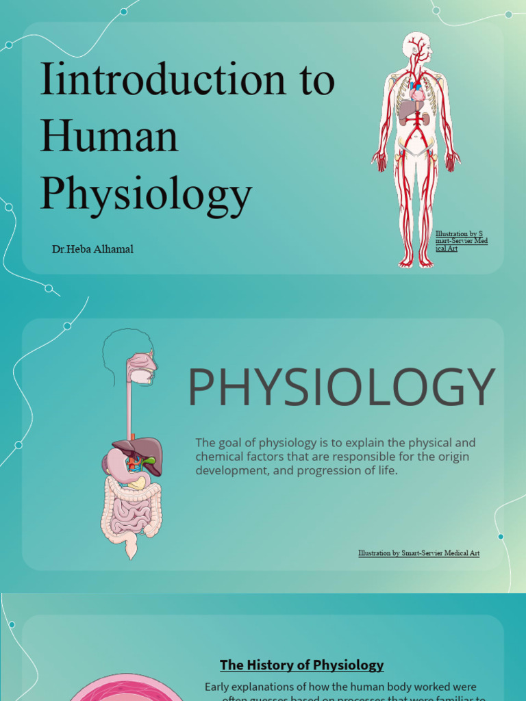 Anatomy, Introduction To Human Physiology by Slidesgo | PDF | Homeostasis | Stimulus (Physiology)
