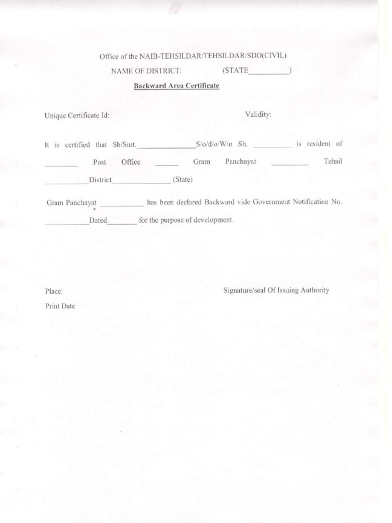 Nss Certificate Form | PDF