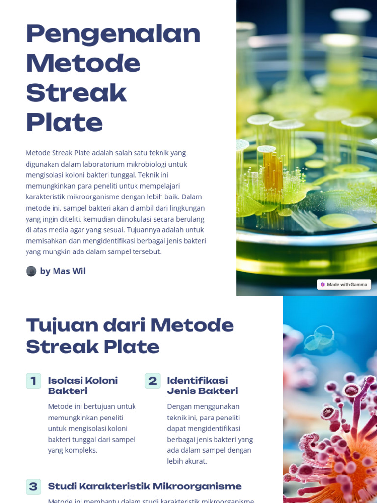 Pengenalan Metode Streak Plate | PDF