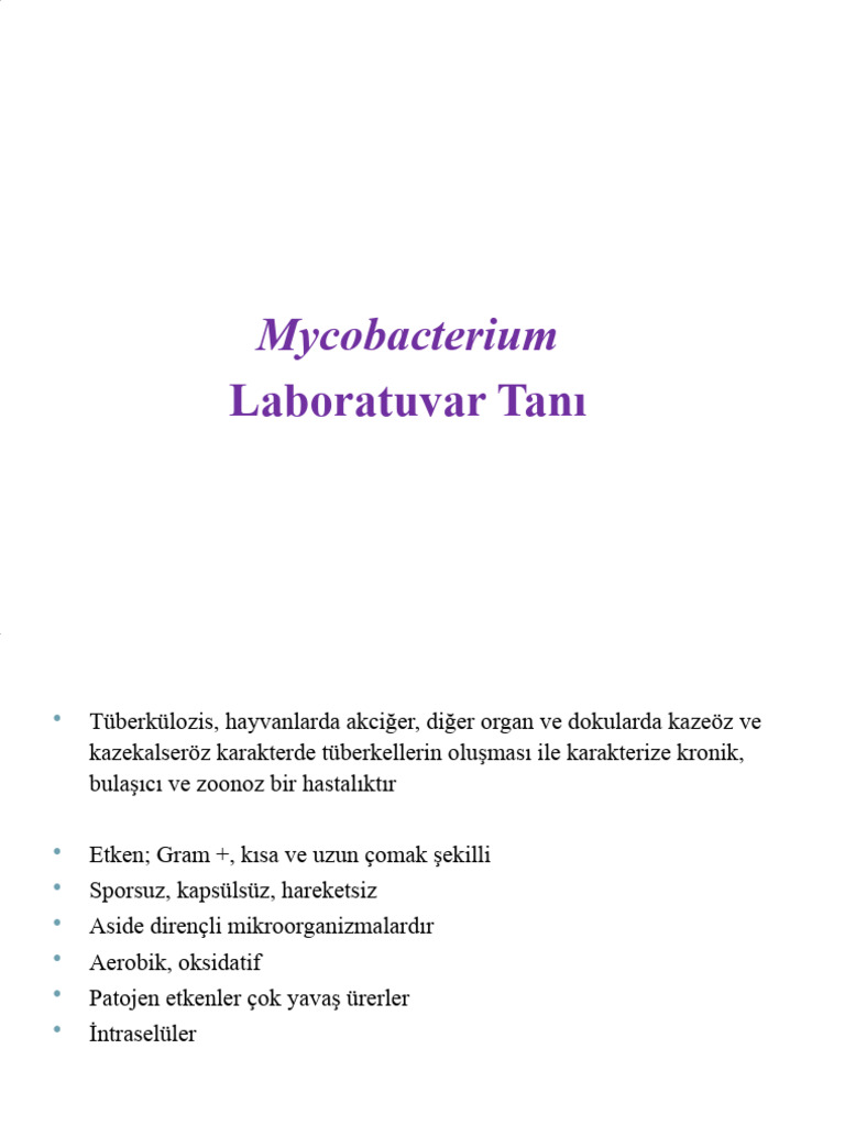 Mycobacterium Uyg | PDF