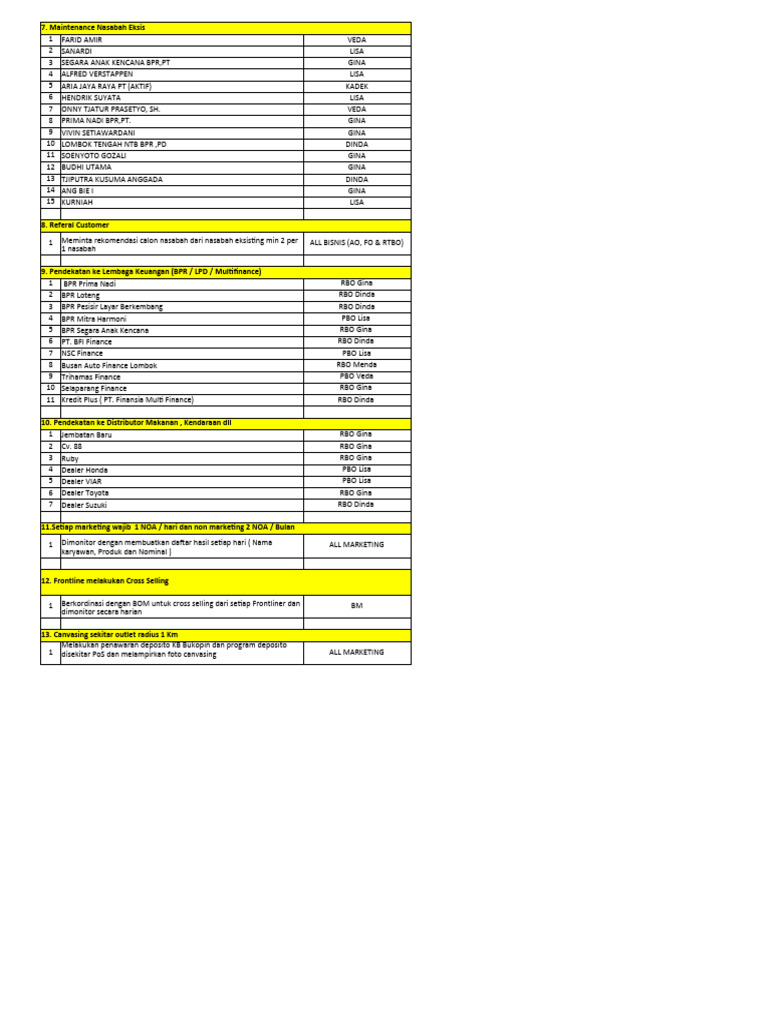 Action Plan Solisit Ricky | PDF