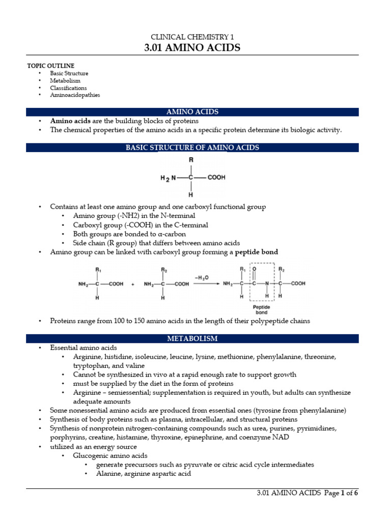 3.01 Amino Acids: Amino Acids Are The Building Blocks of Proteins | PDF | Amino Acid | C ...