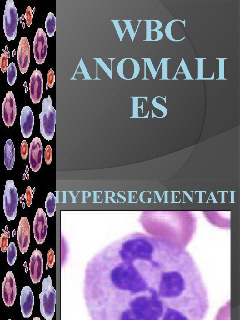WBC Anomalies | PDF | White Blood Cell | Phagocyte